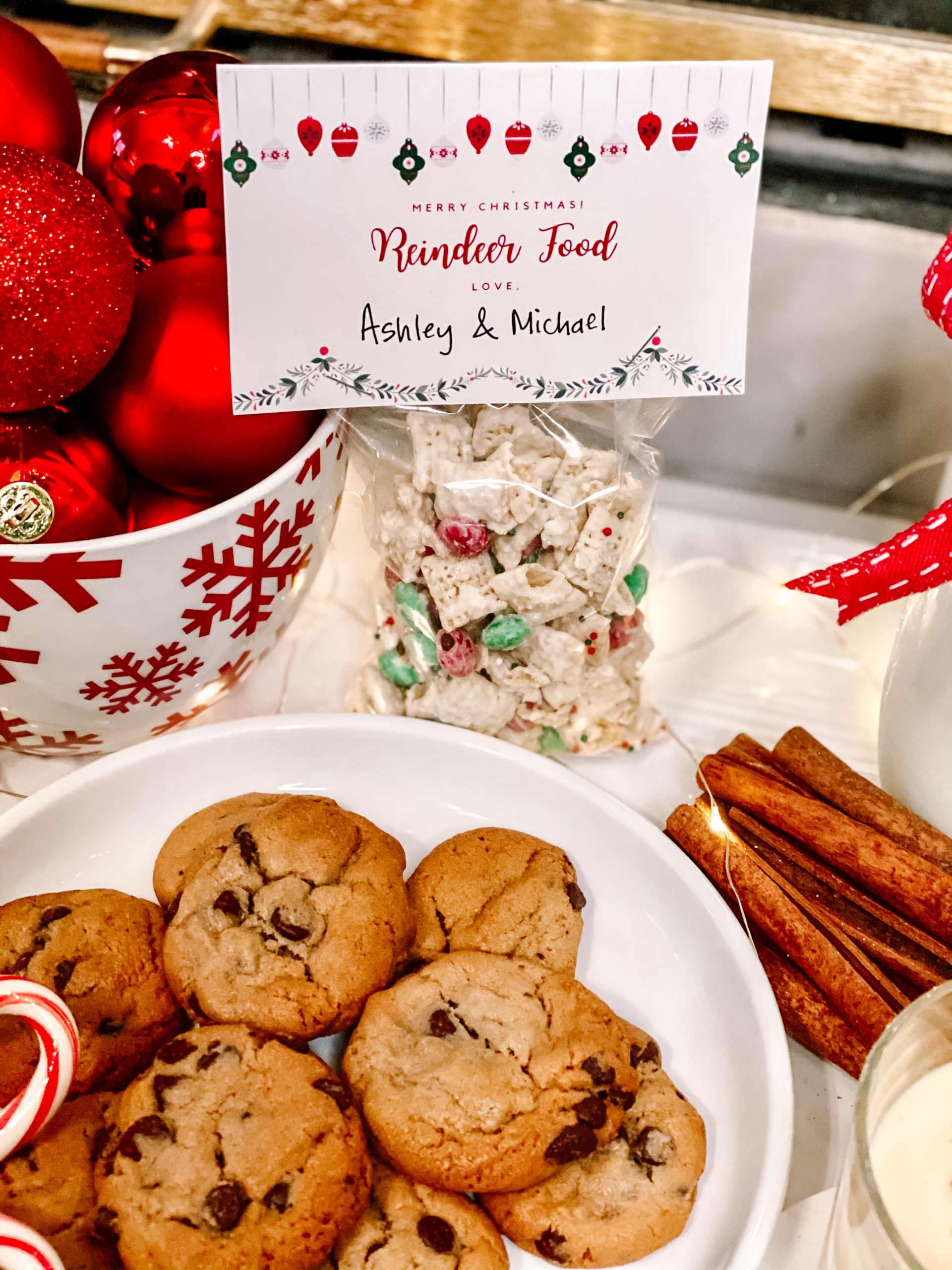 Milk and Cookies for Santa | Cute Family Activity - joyfully so
