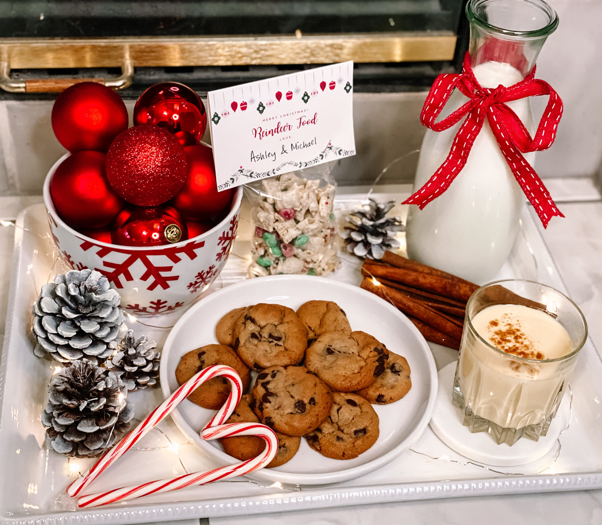 Milk and Cookies for Santa | Cute Family Activity - joyfully so