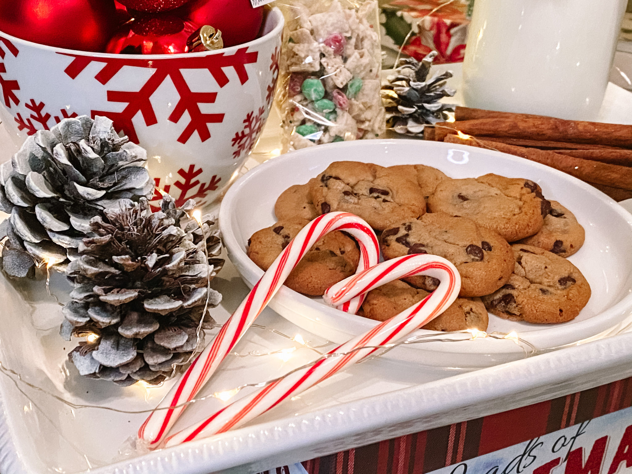 Milk and Cookies for Santa | Cute Family Activity - joyfully so